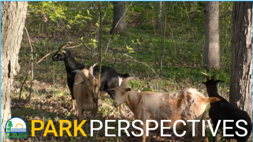 Glencoe Beach | Glencoe Park District